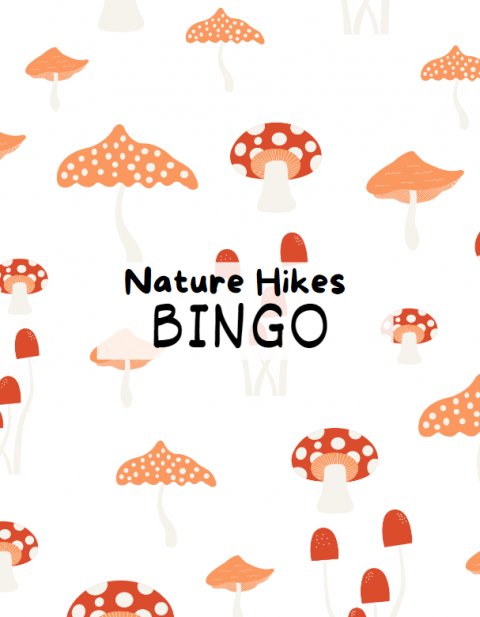 Nature Hikes Bingo Printable » SKrafty