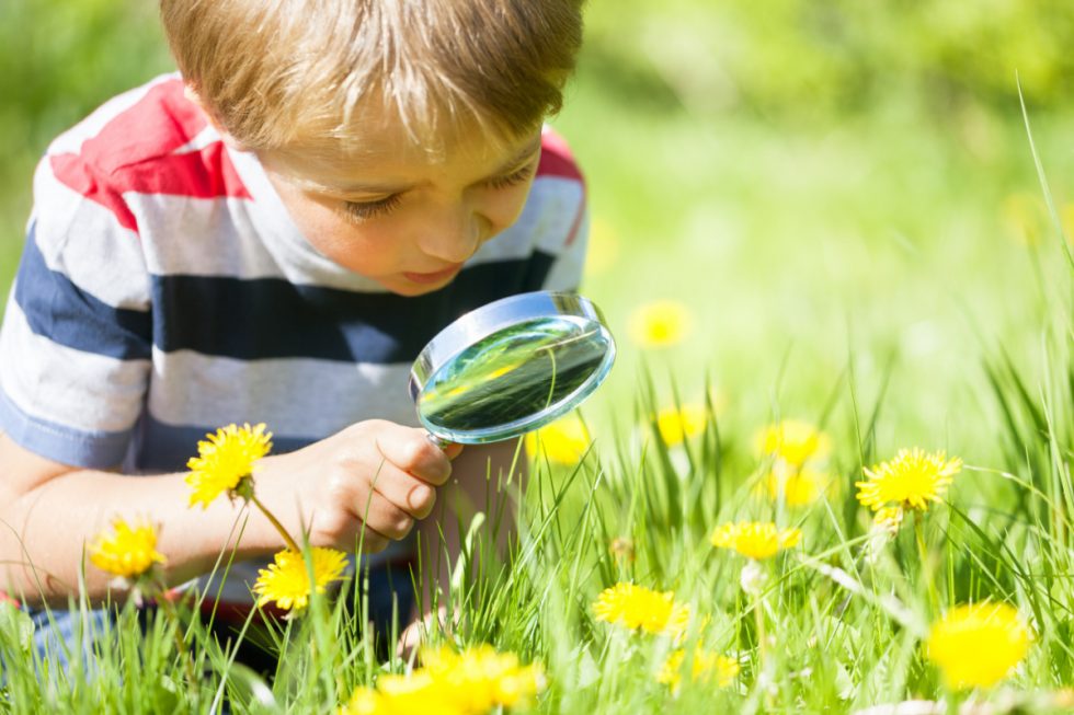 Five Learning Games to Keep Skills Fresh this Summer » SKrafty